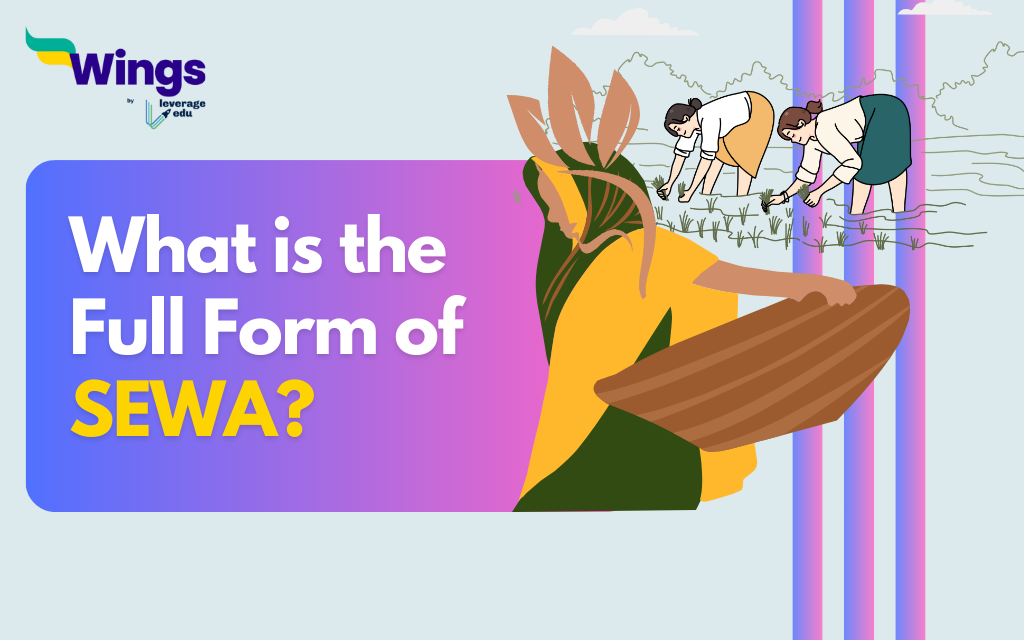 What Is The Full Form Of SEWA Leverage Edu What Is The Full Form Of SEWA Leverage Edu