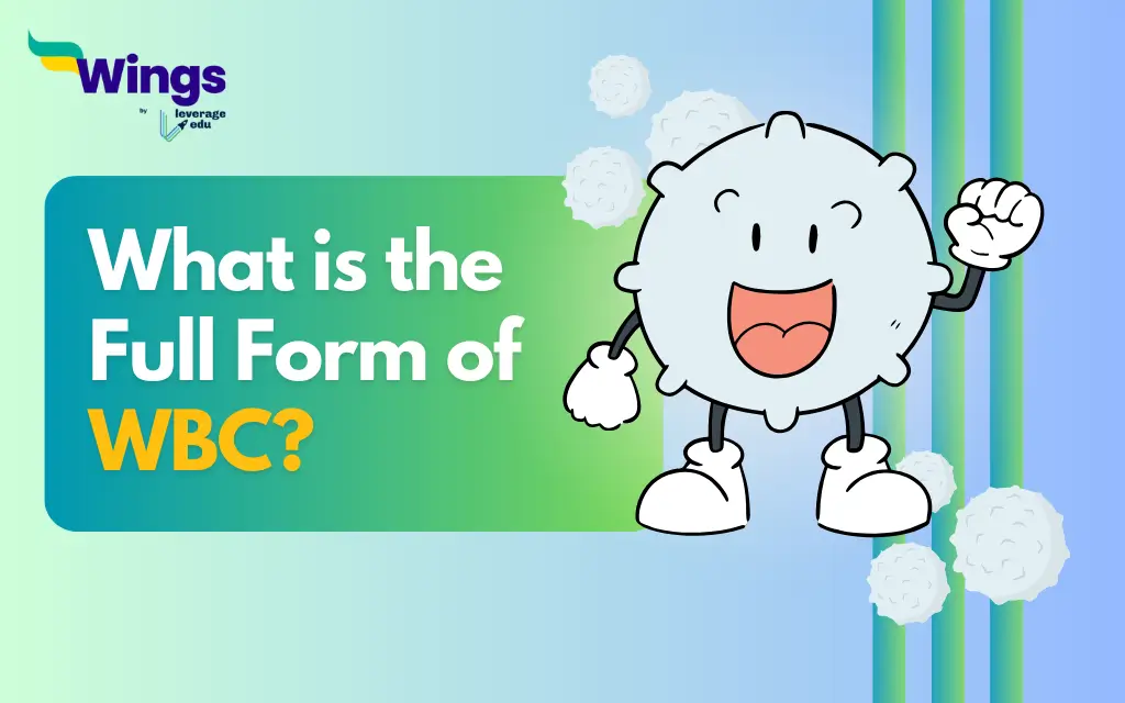 what-is-the-full-form-of-wbc-leverage-edu